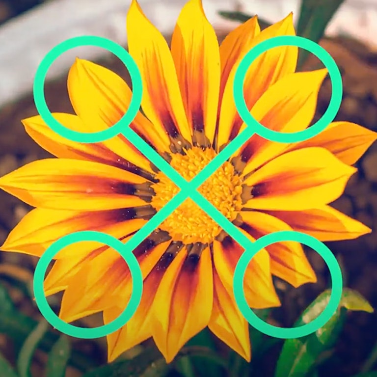 Our Brand Consulting and Activation Work | Liquid Agency